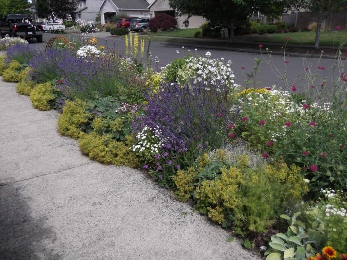 What to Plant in your Boulevard – Project Food Forest